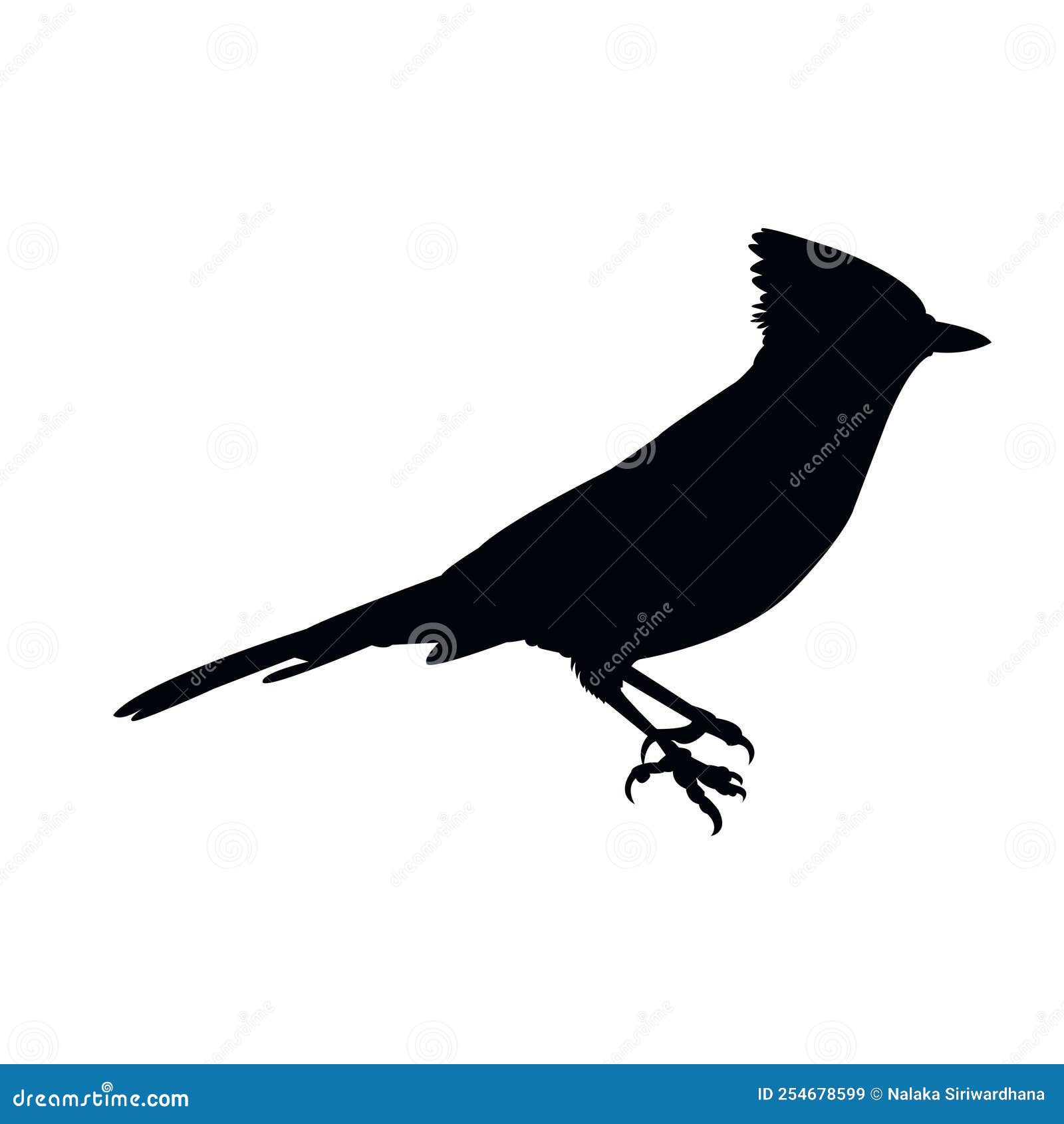 Vector Black Male Cardinal Bird Vector Icon. Stock Vector ...