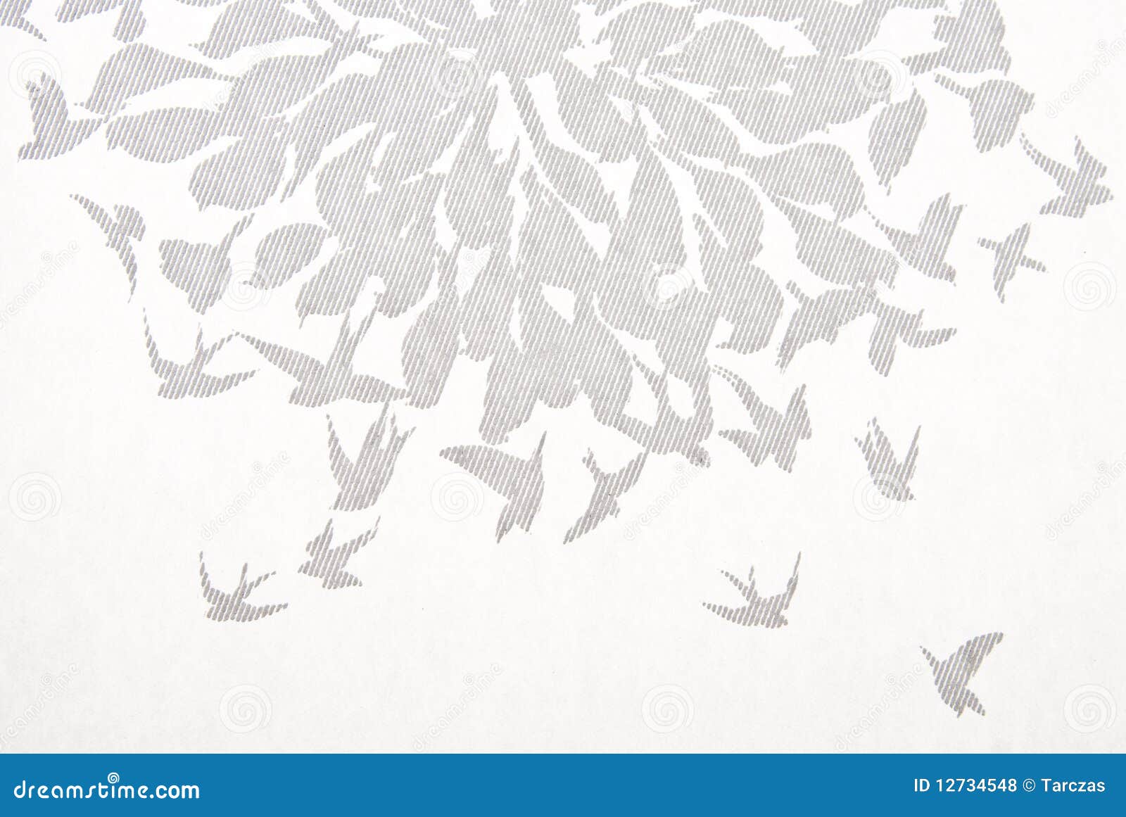 Bird abstract background stock photo. Image of white - 12734548