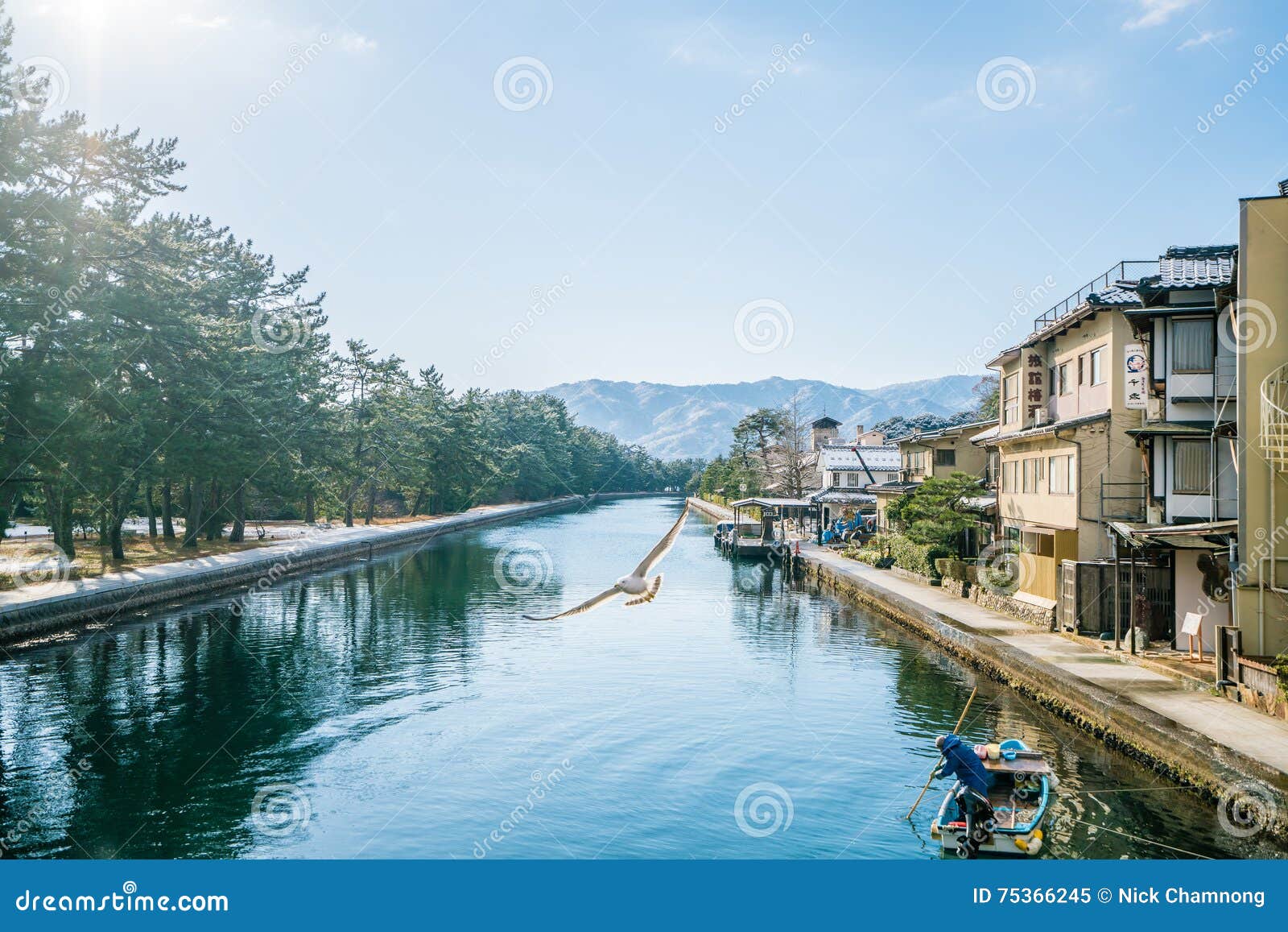 Bird in Amanohashidate Winter Stock Image - Image of reflection ...