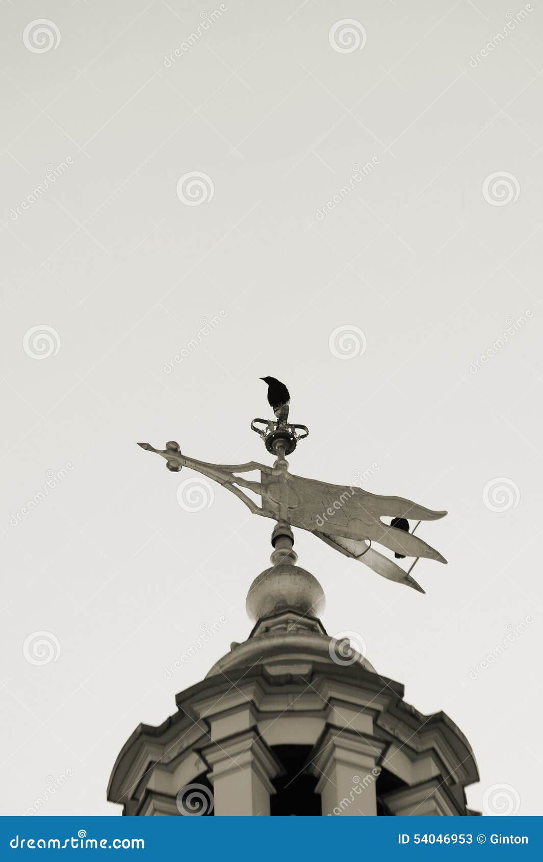 Bird on anemometer stock image. Image of wind, animals - 54046953