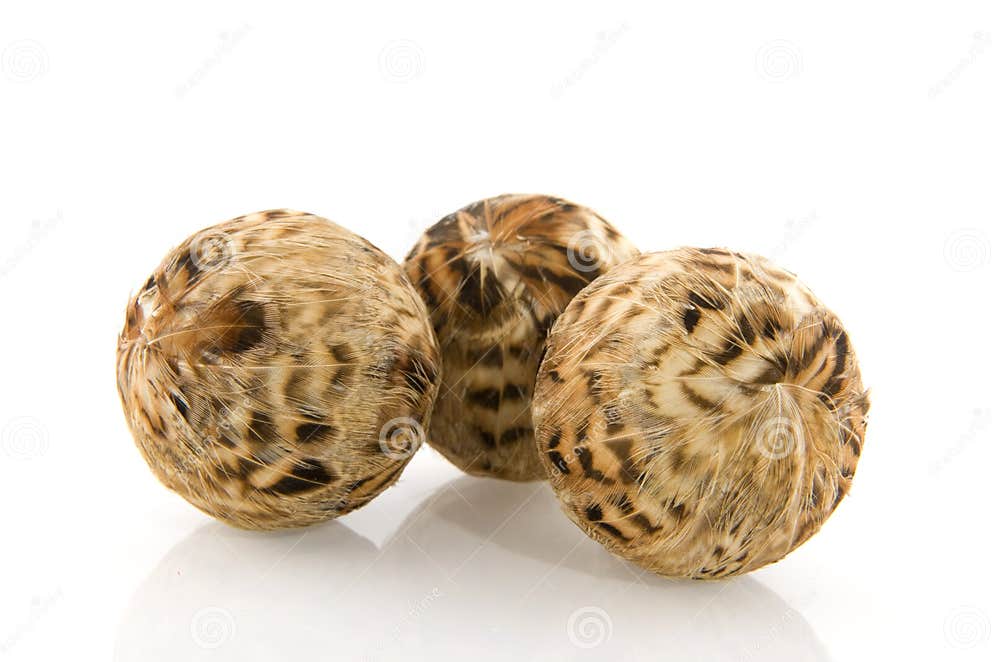 Bird Balls Stock Image Image Of Feathers Isolated Pattern 13326797