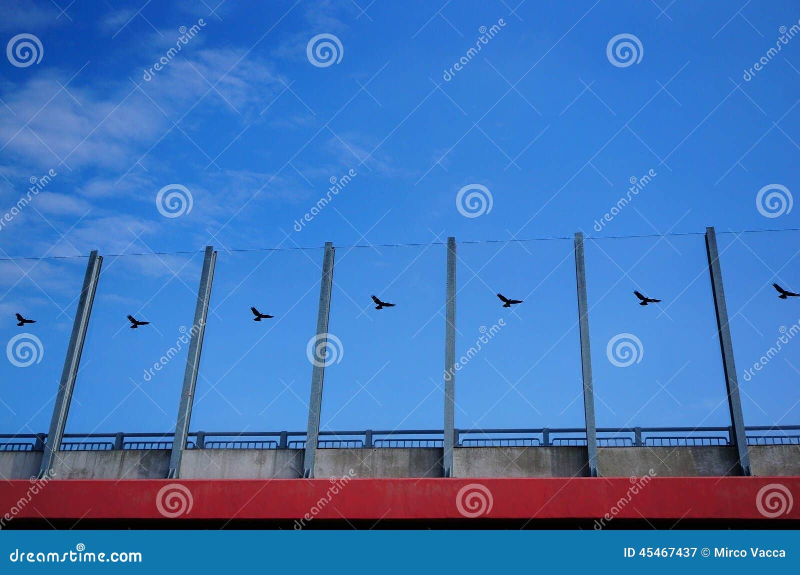 Bird barrier stock image. Image of energy, cumulus, barrier - 45467437