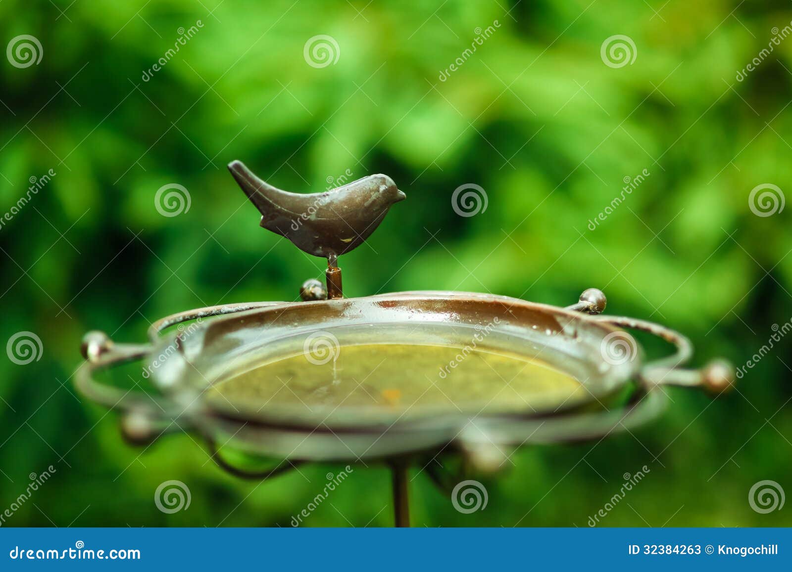 Bird bath stock image. Image of animal, flowers, fountain - 32384263
