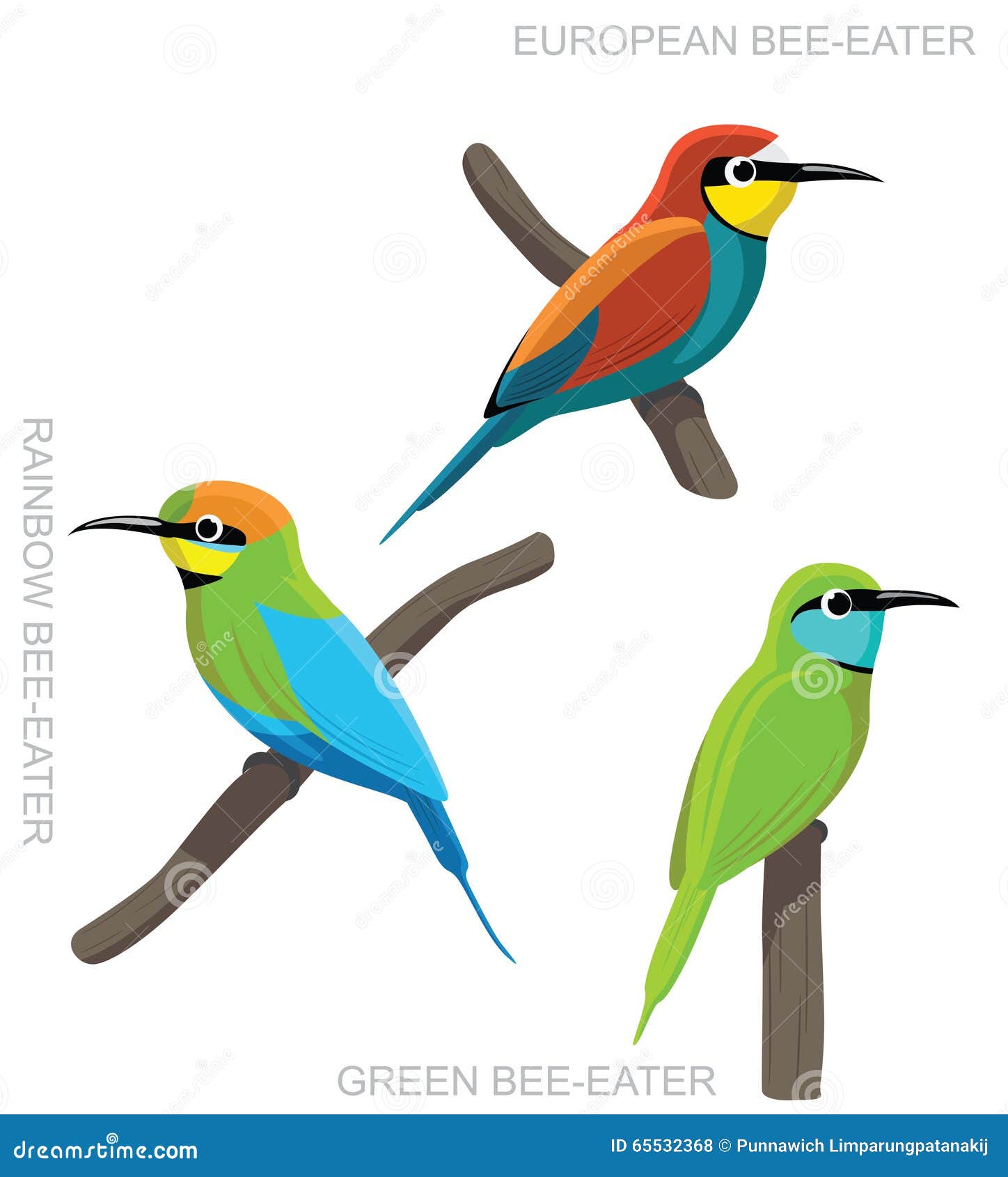 Bird Bee Eater Set Cartoon Vector Illustration Stock Vector ...