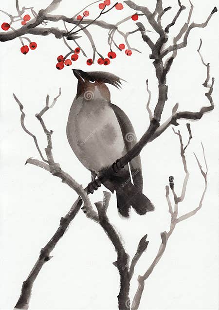 Bird and berry stock illustration. Illustration of spring - 28827847