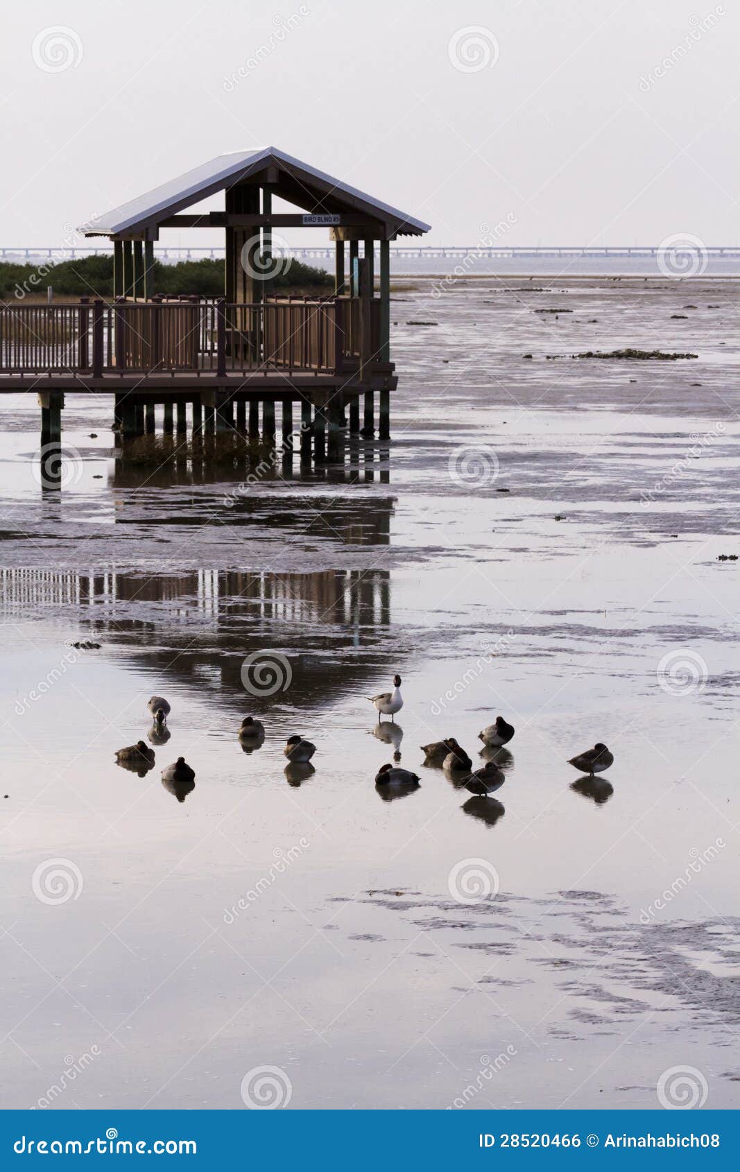 Bird blind stock photo. Image of barrier, black, padre - 28520466