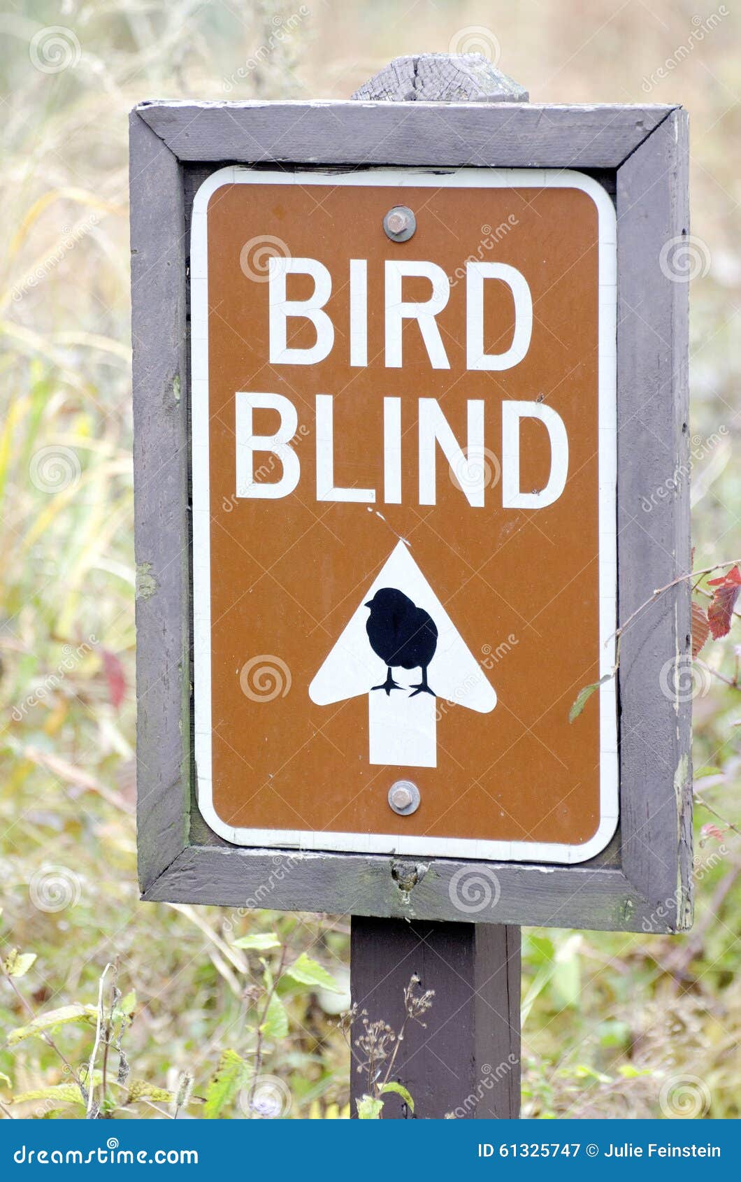 Bird Blind Sign stock image. Image of watch, wildlife - 61325747