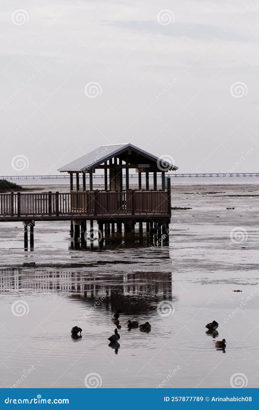 Bird blind stock image. Image of bird, wood, island - 257877789