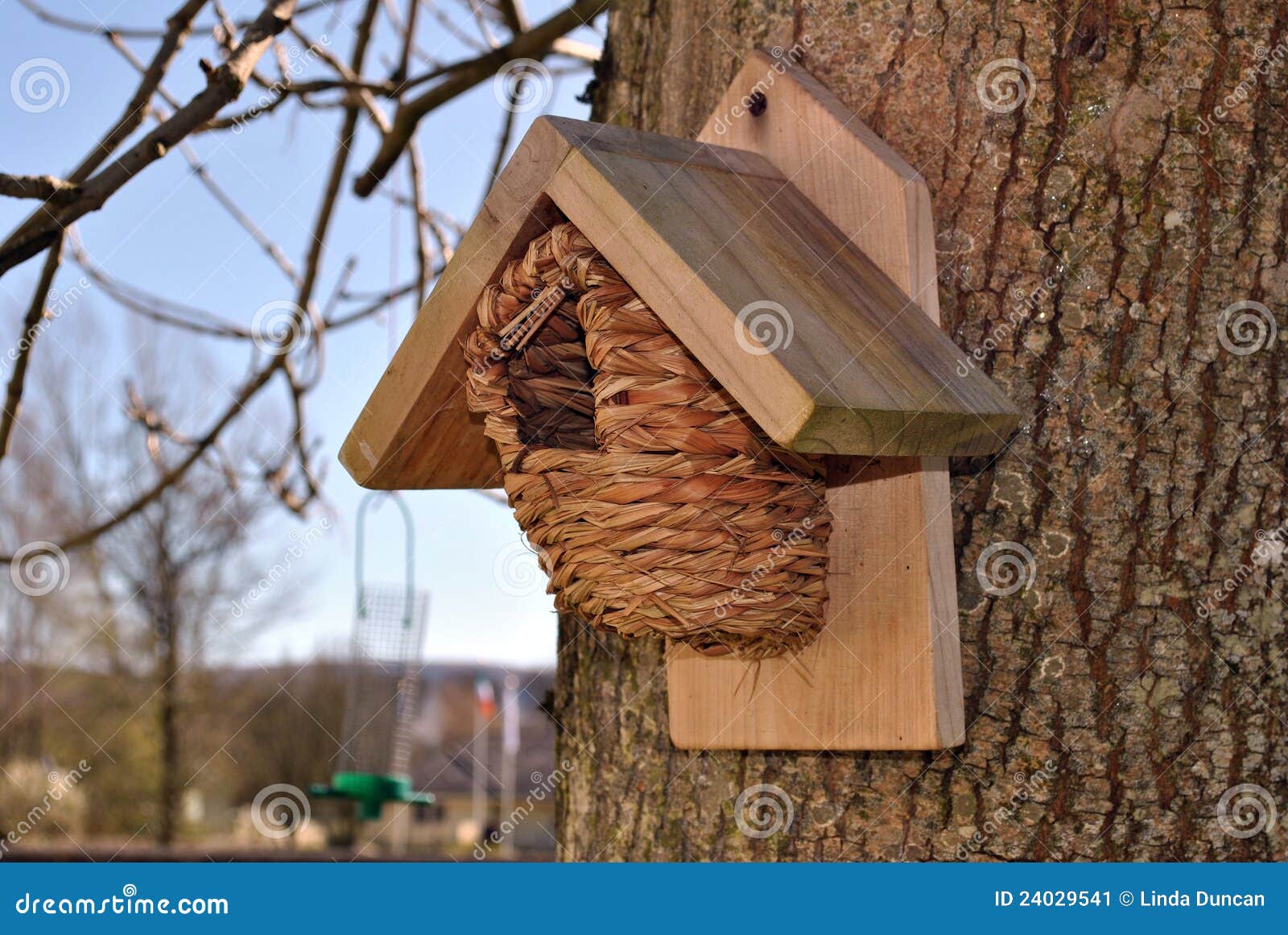 Bird box stock image. Image of home, bark, bird, tree - 24029541