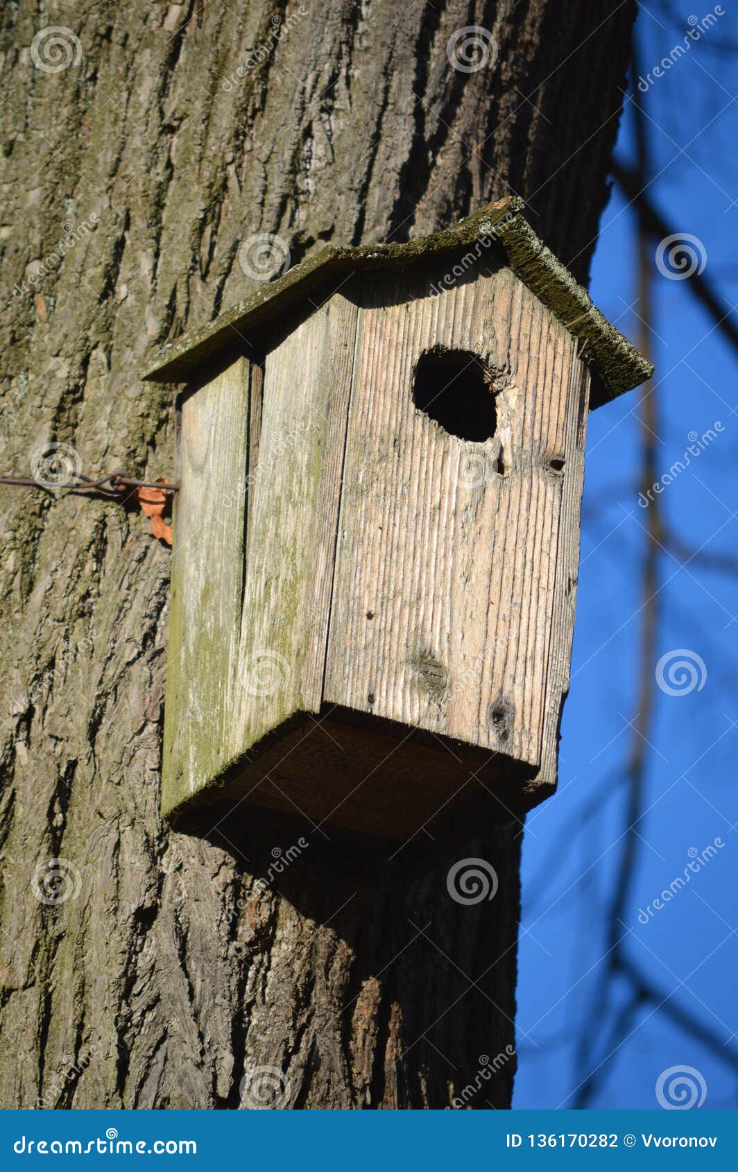 Bird Box stock photo. Image of blue, tree, wooden, handmade - 136170282