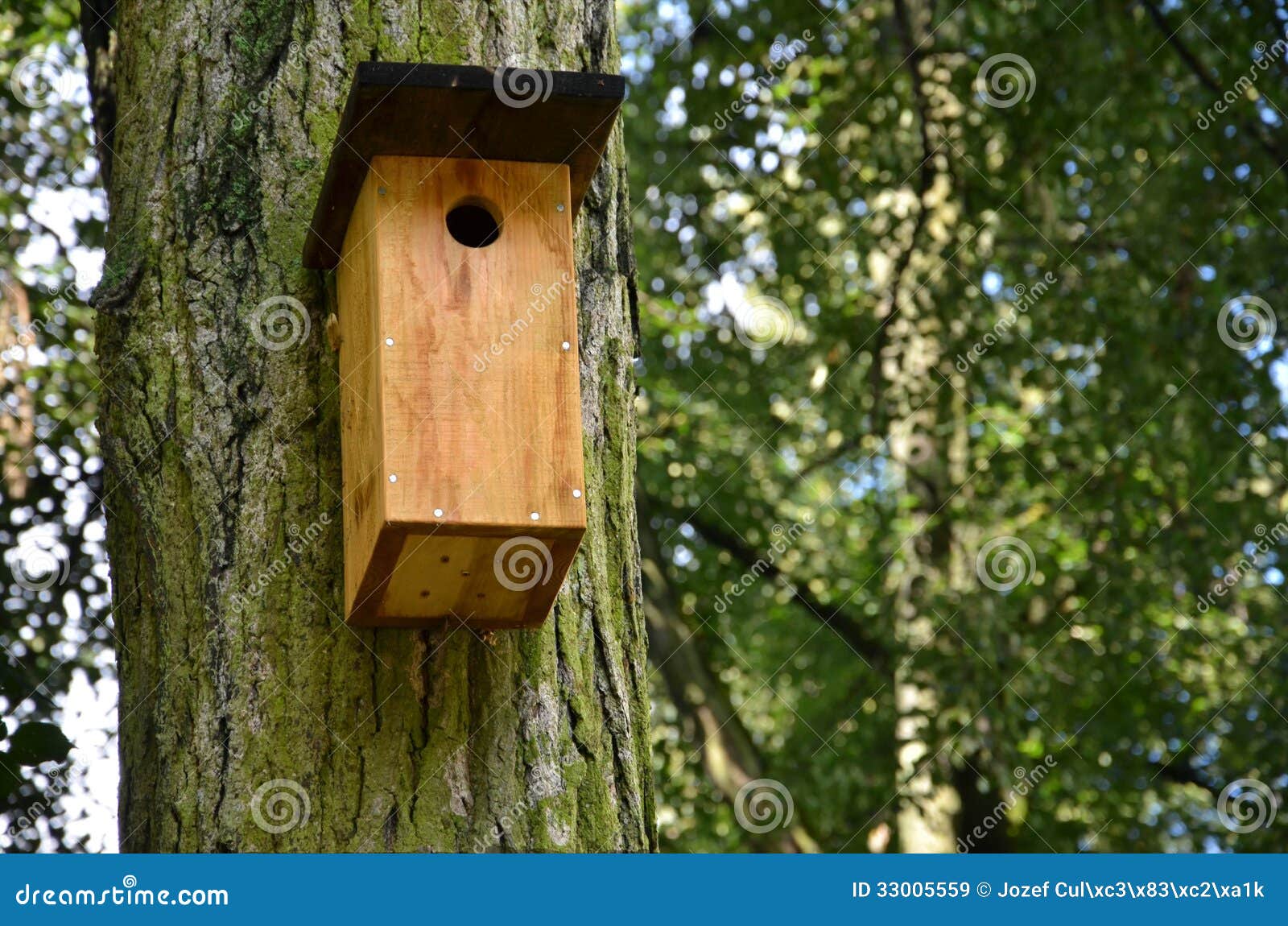 Bird box in the forest stock image. Image of park, birdbox - 33005559
