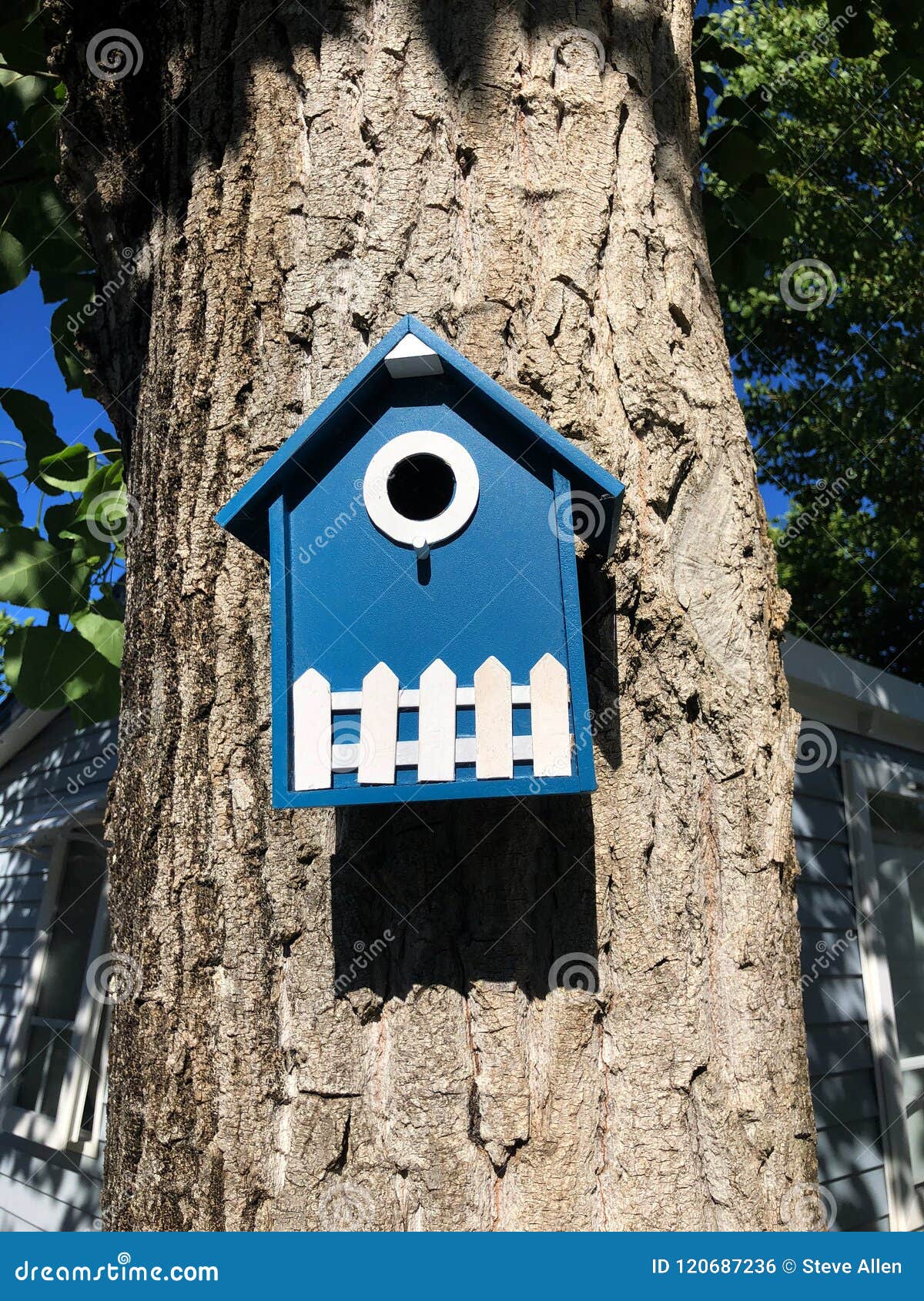 Bird Box - Nesting Box stock photo. Image of color, tree - 120687236