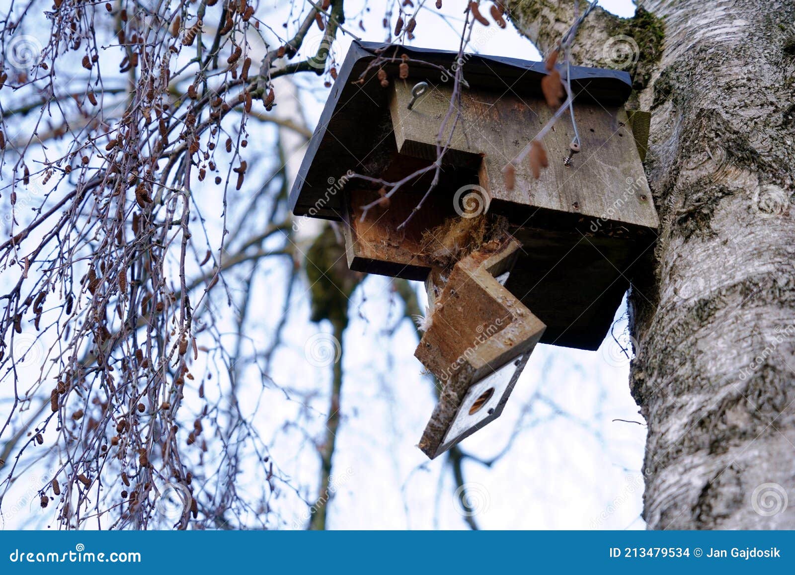 Bird Box on a Tree, Open and Empty. There is Bird Nest Inside. Stock ...