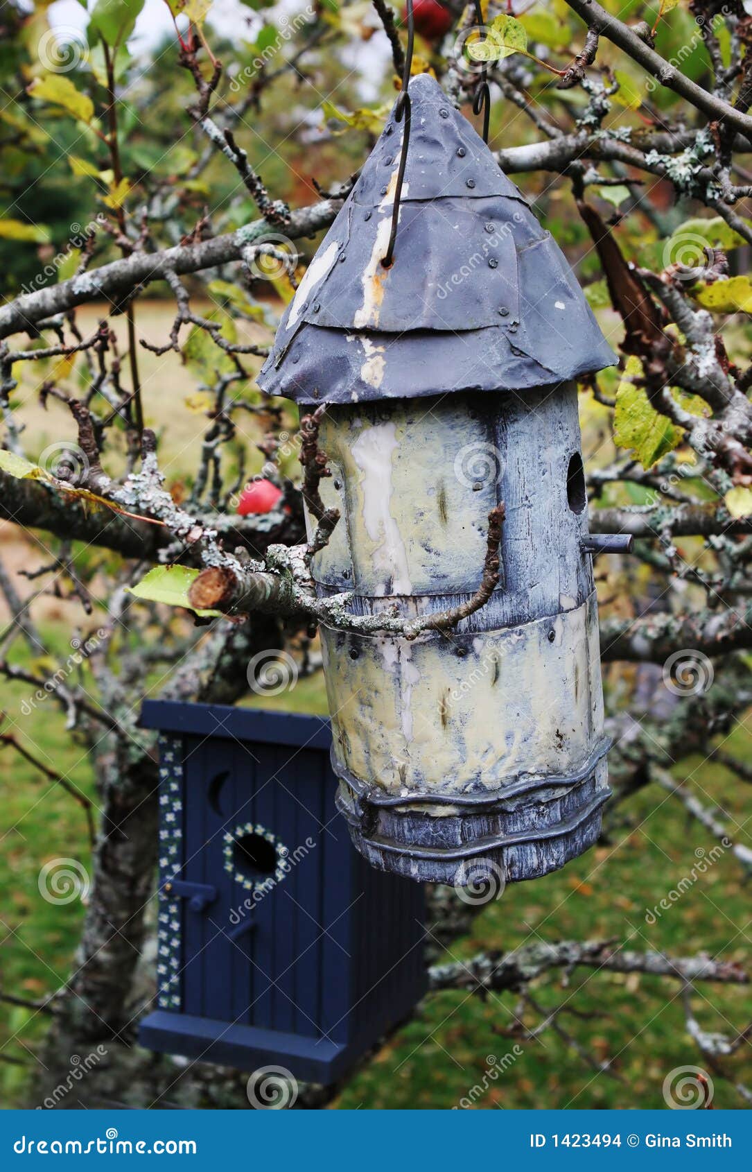 Bird boxes stock photo. Image of field, detail, farm, grow - 1423494