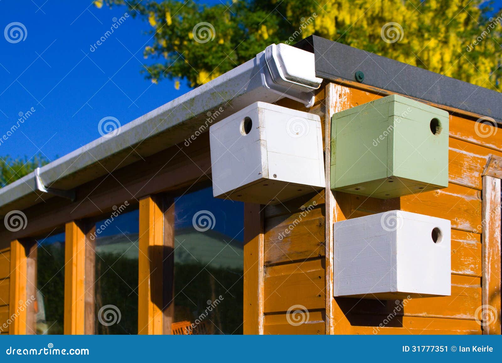 Bat And Bird Boxes Royalty-Free Stock Photography | CartoonDealer.com ...