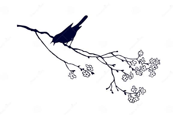 Bird on branch tree stock vector. Illustration of sheet - 11662420