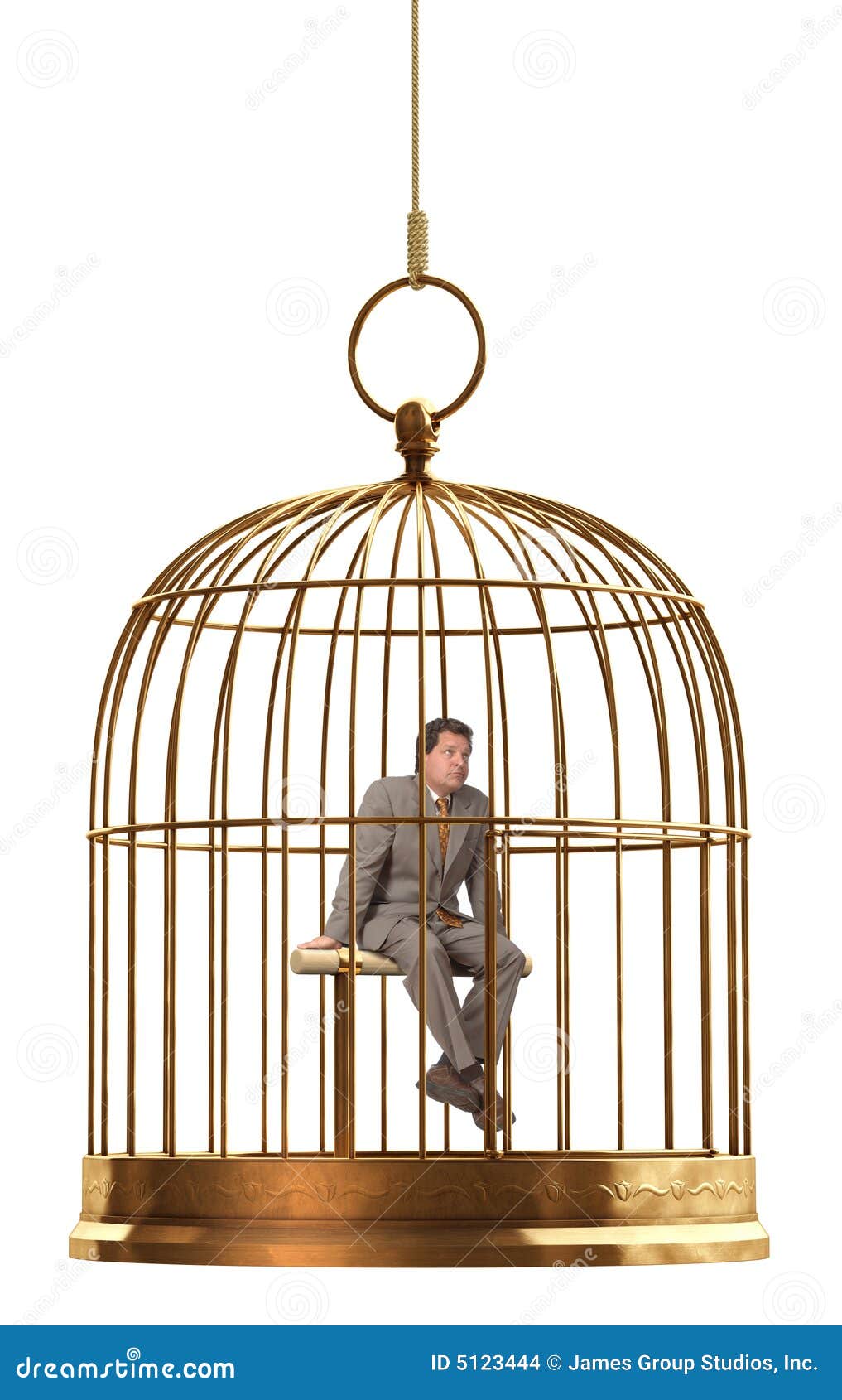 Bird Cage stock photo. Image of confined, empty, cage - 5123444