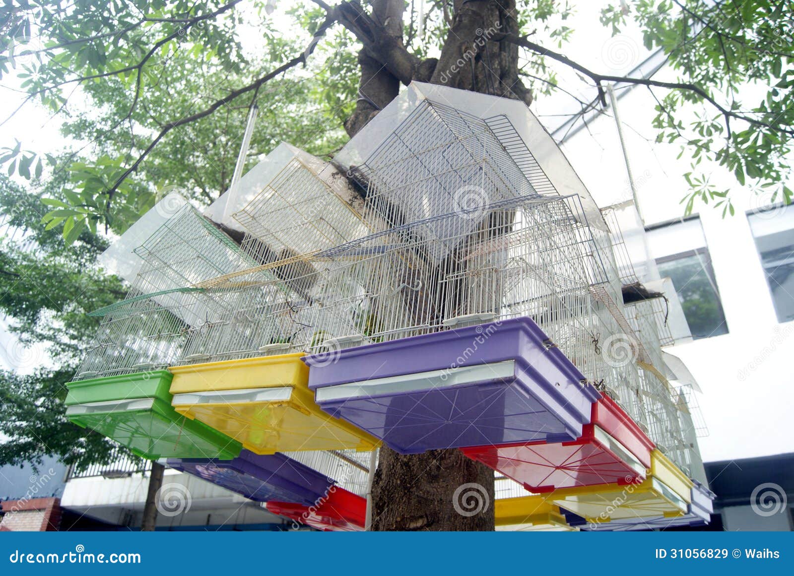 Bird cage stock image. Image of animals, nature, bird - 31056829