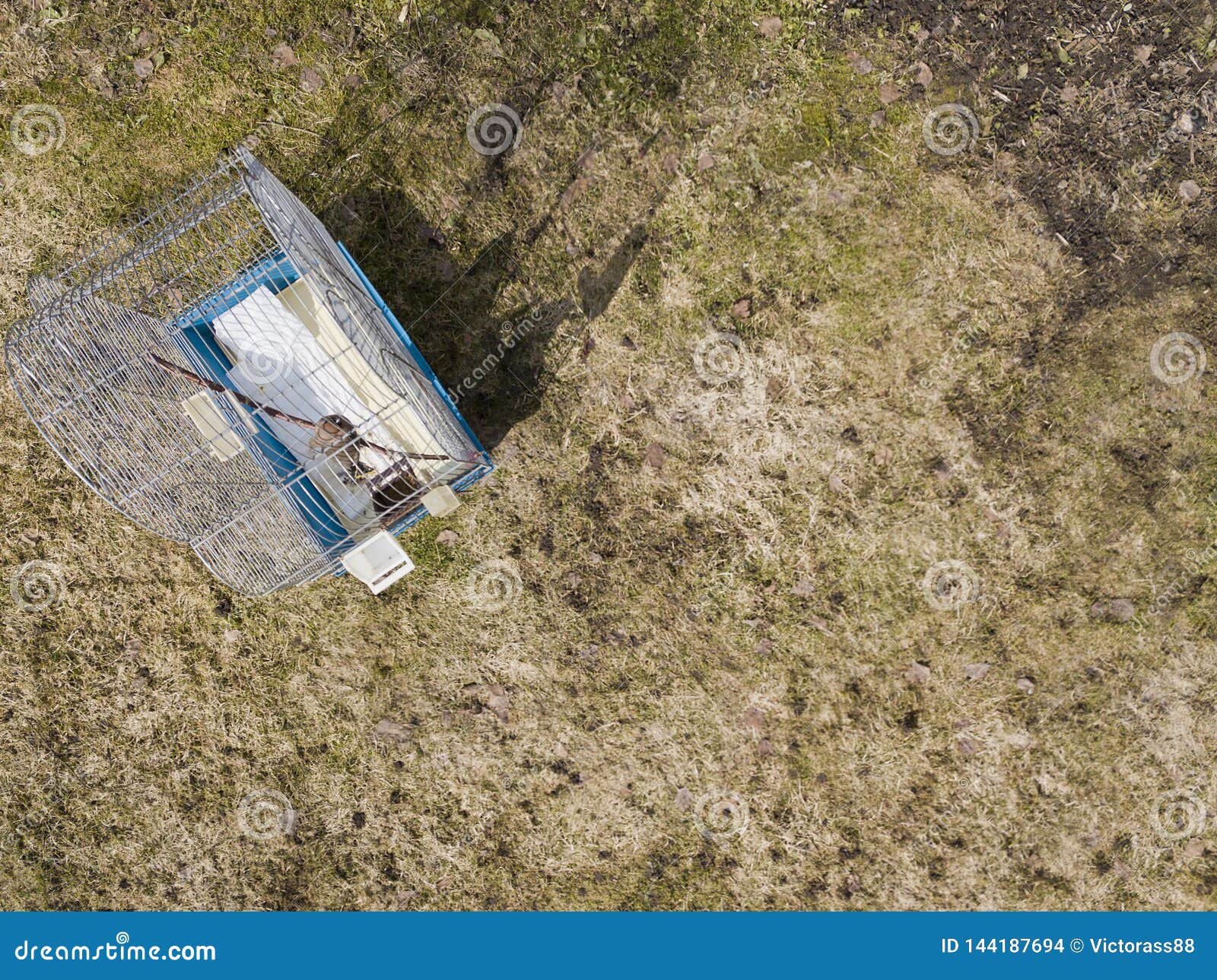 A bird cage on the ground stock photo. Image of ground - 144187694