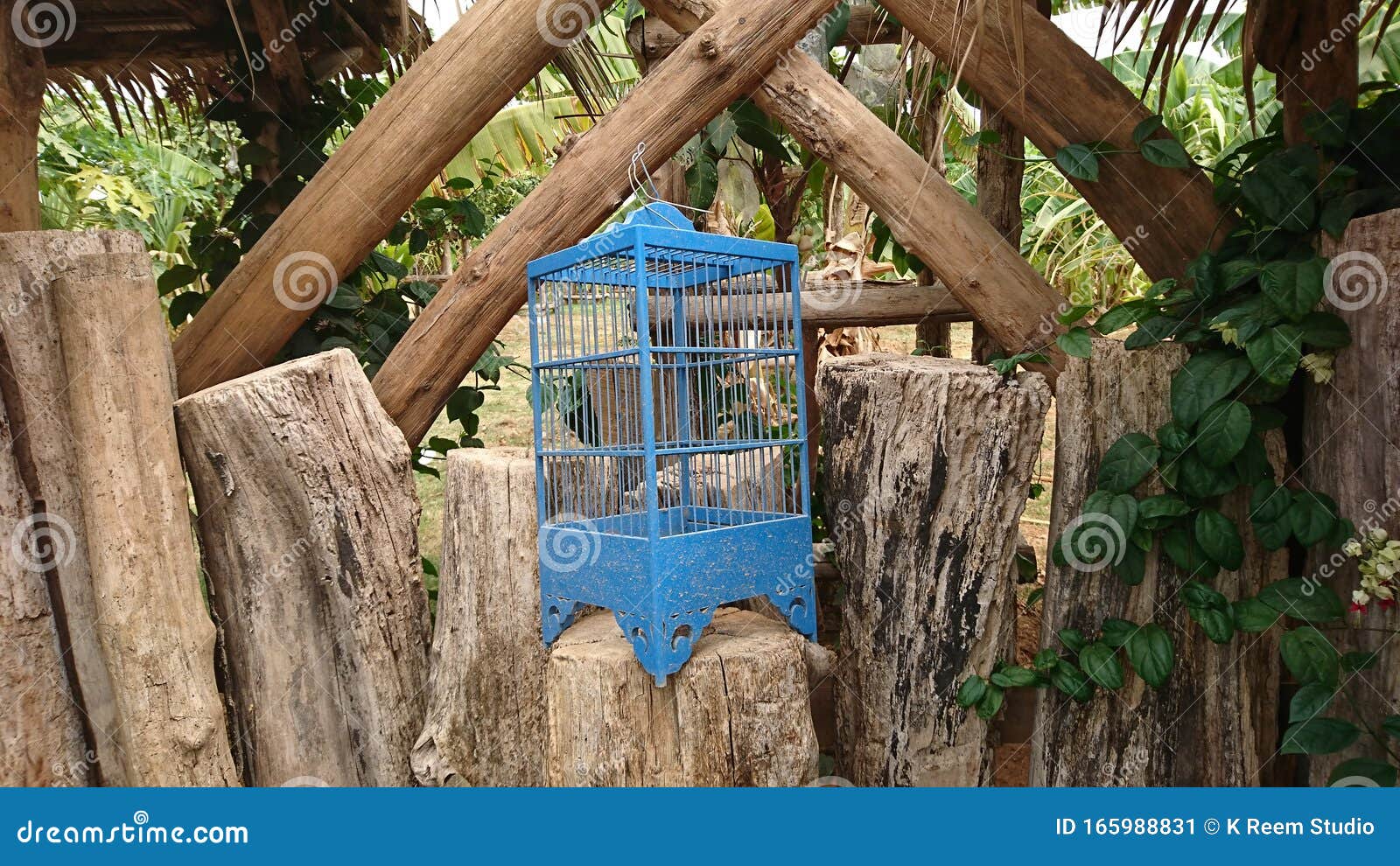 Bird Cage on a Piece of Logs Stock Image - Image of rain, fallen: 165988831