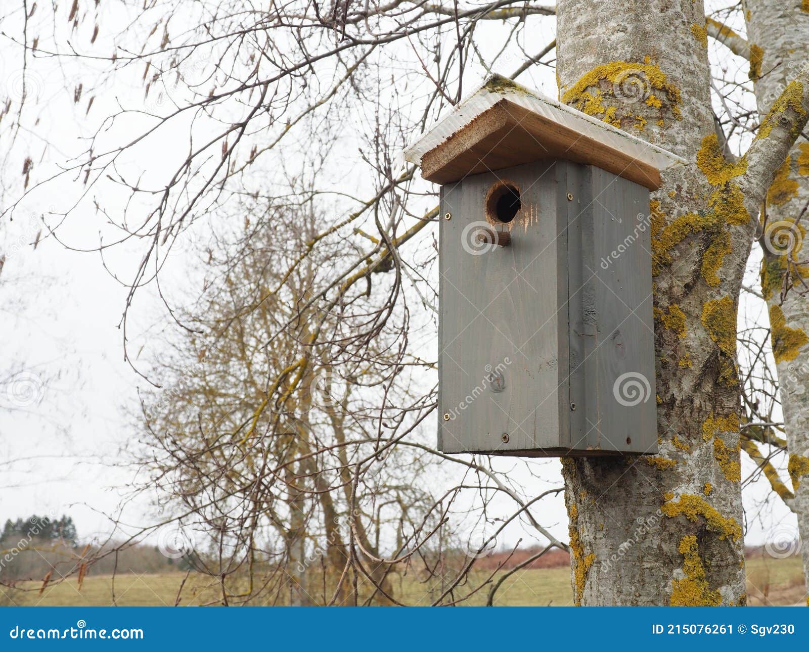 Bird Cage in a Tree. Gray Bird House Stock Image - Image of house, blue ...