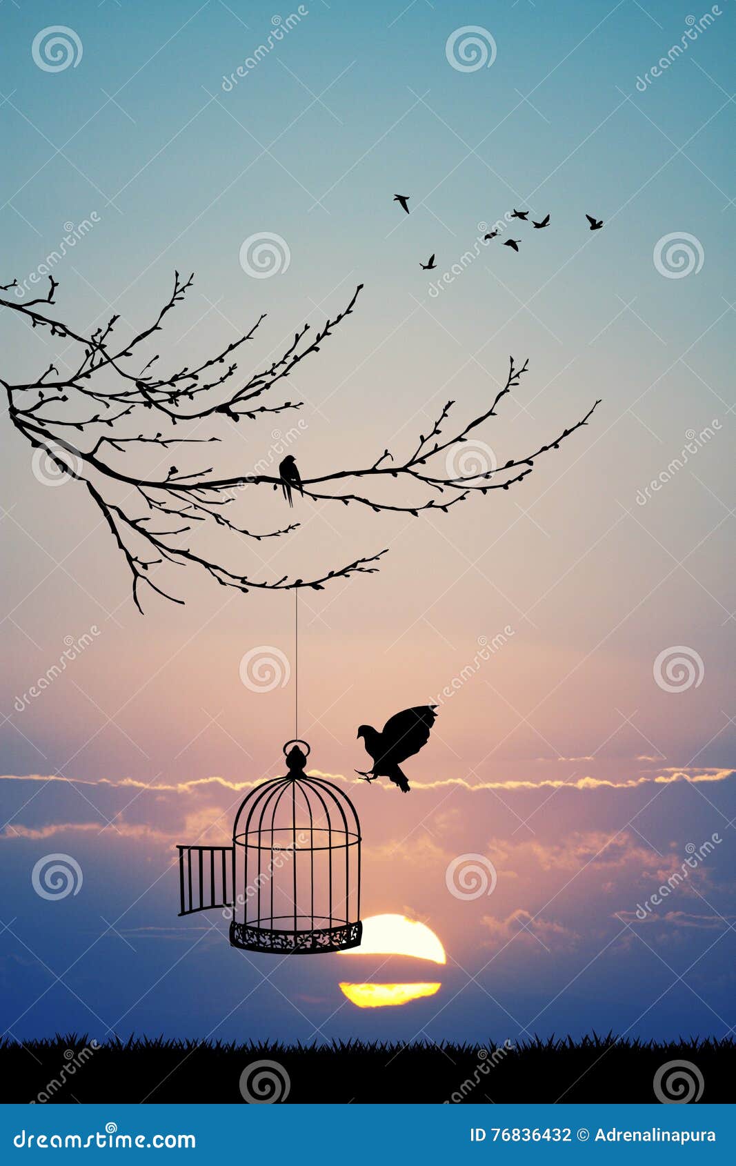 Bird cage on tree stock illustration. Illustration of birds - 76836432