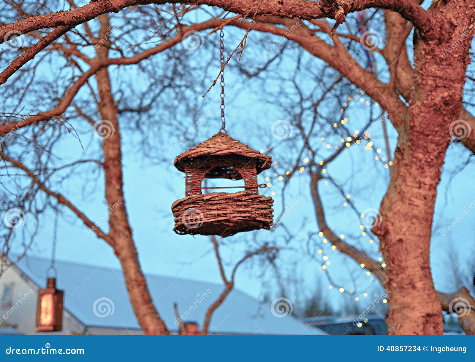 Bird cage stock photo. Image of wooden, blue, nice, beautiful - 40857234