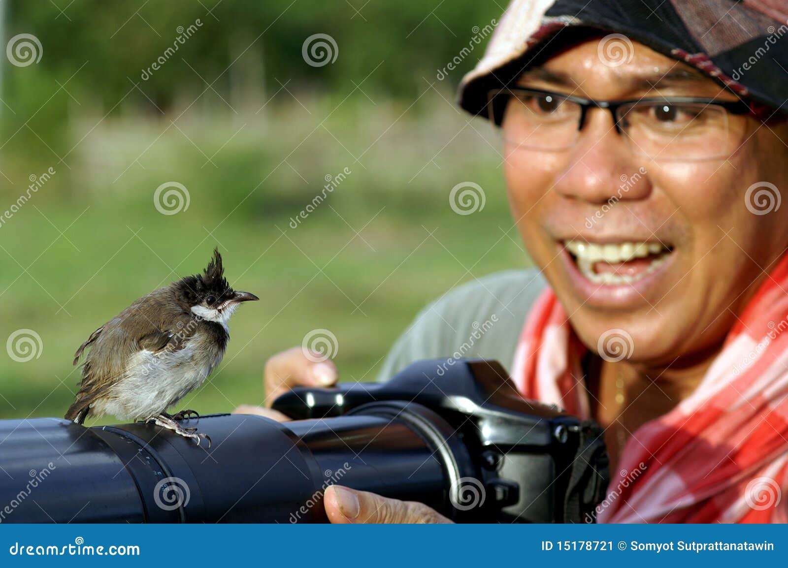 Bird on Camera Photographer Stock Image - Image of blur, catch: 15178721