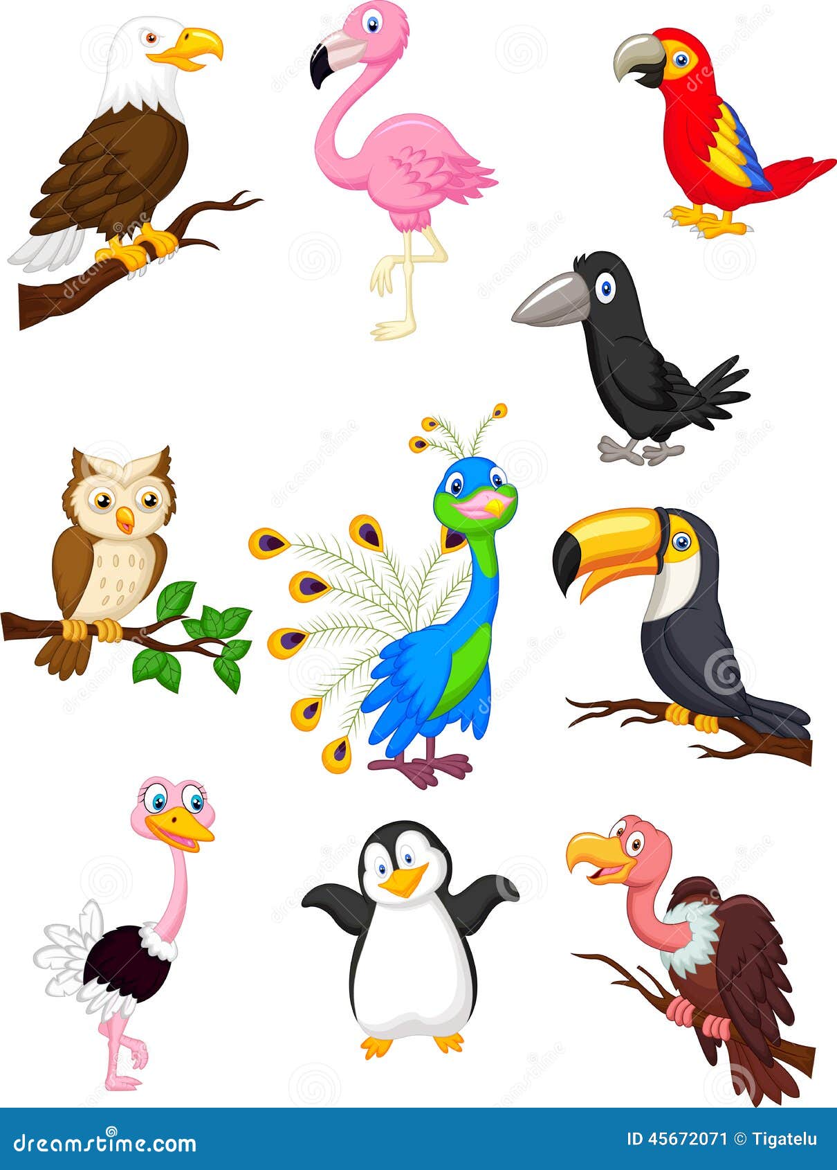 Bird cartoon collection stock vector. Illustration of cartoon - 45672071