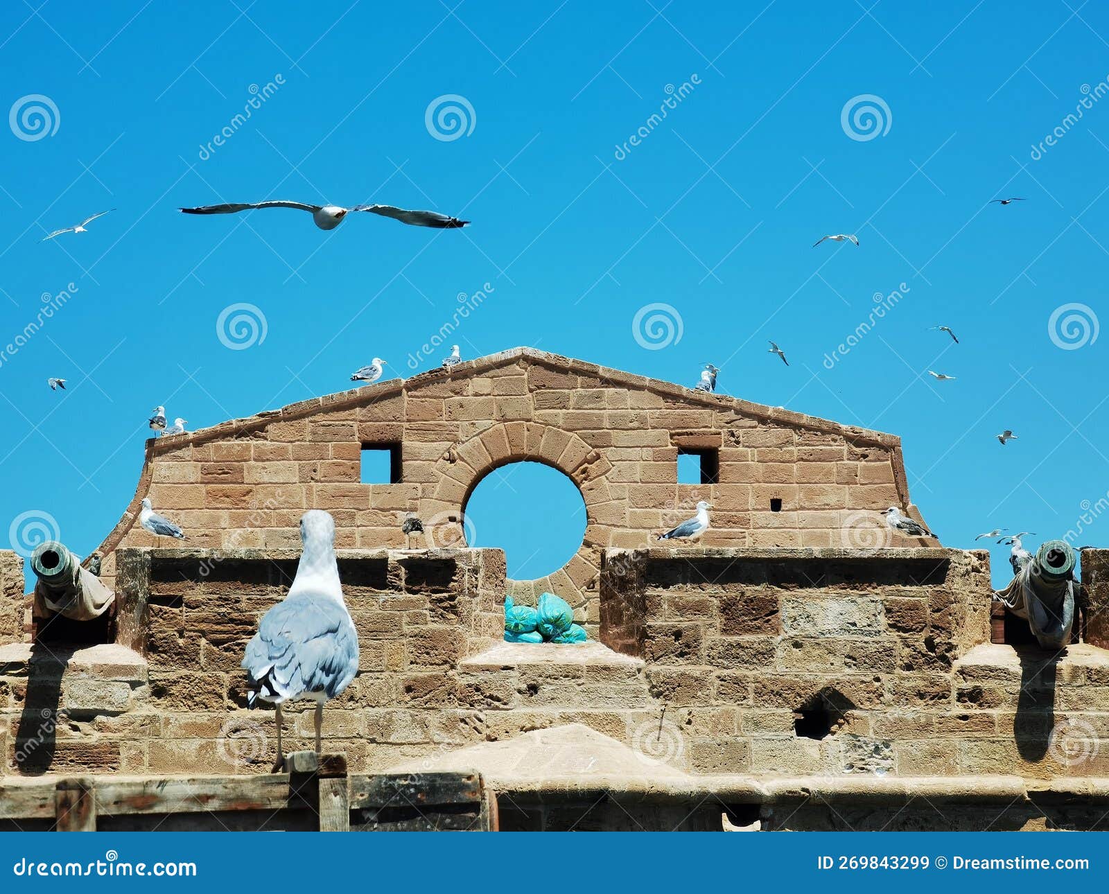 Bird in the castle stock image. Image of landmark, rock - 269843299