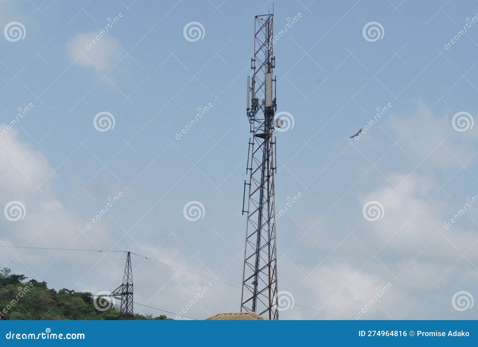 A BIRD CAUGHT FLYING TOWARDS a MAST Stock Photo - Image of caught ...