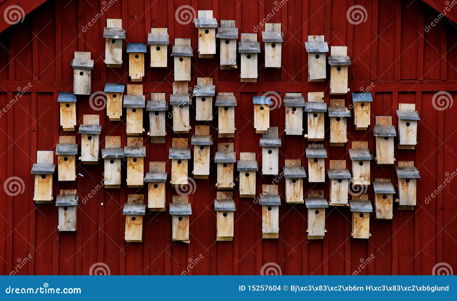 Bird city stock photo. Image of house, birdhouse, wood - 15257604