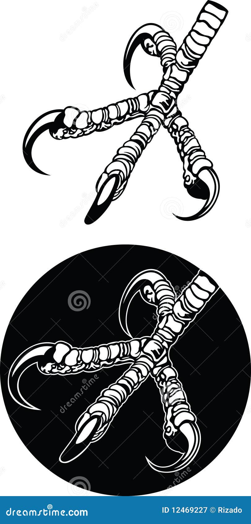 Bird claw stock vector. Illustration of symbol, eagle - 12469227