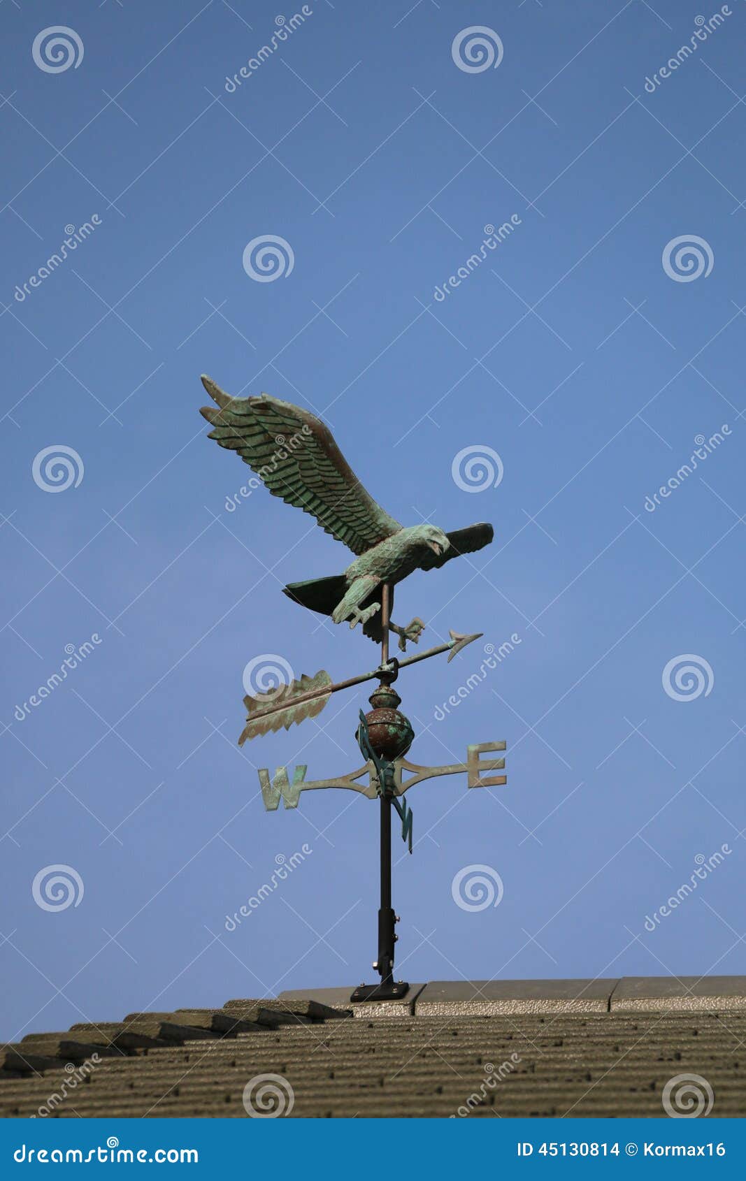 Bird compass stock photo. Image of decoration, bright - 45130814