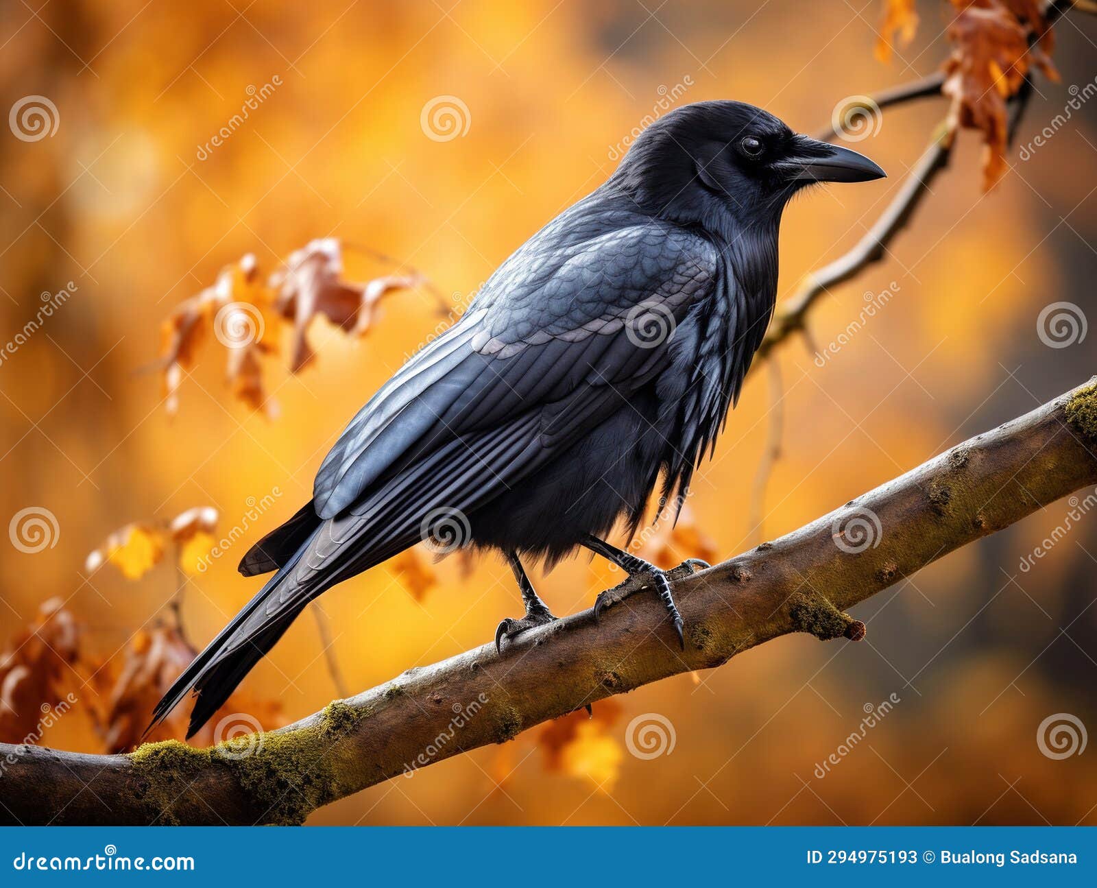 Bird Crow Made with Generative AI Illustration Stock Illustration ...
