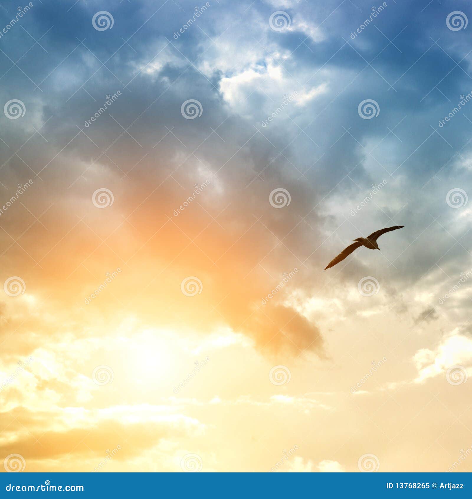Bird and dramatic clouds stock image. Image of scenics - 13768265