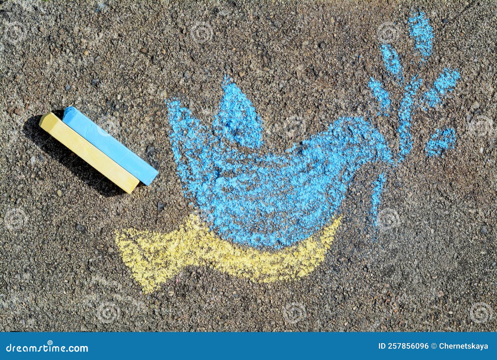 Bird Drawn by Blue and Yellow Chalk with Sticks on Asphalt, Flat Lay ...