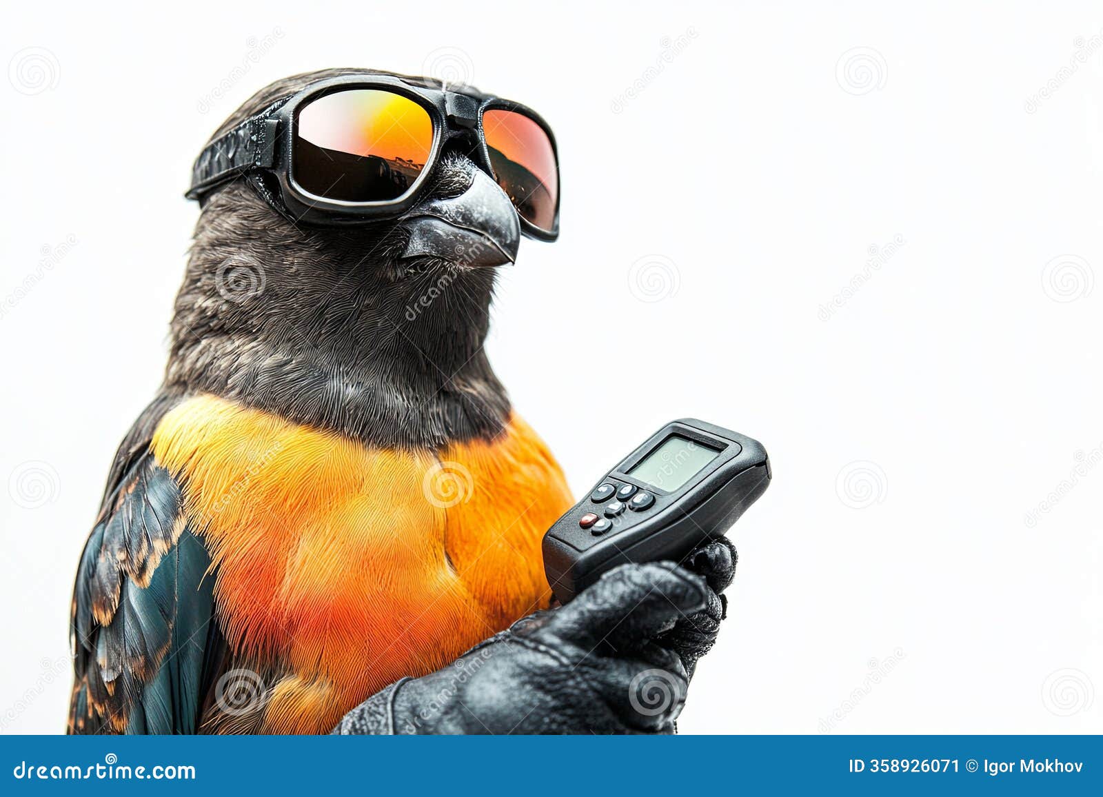 A Bird Dressed As a Delivery Drone Operator, Holding a Tiny Remote ...