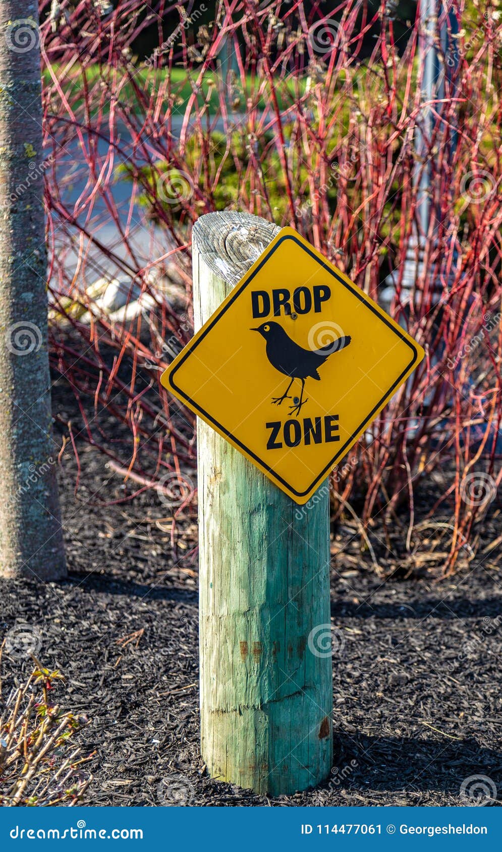 Bird Drop Warning Sign stock image. Image of caution - 114477061