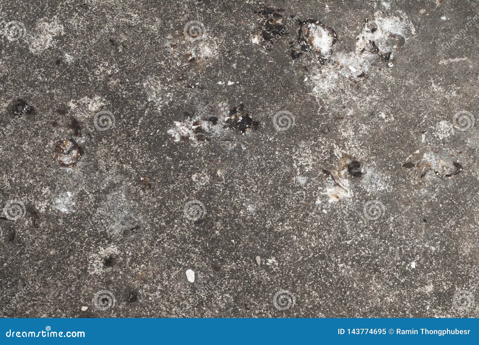 Bird dropping on floor stock image. Image of shit, bird - 143774695