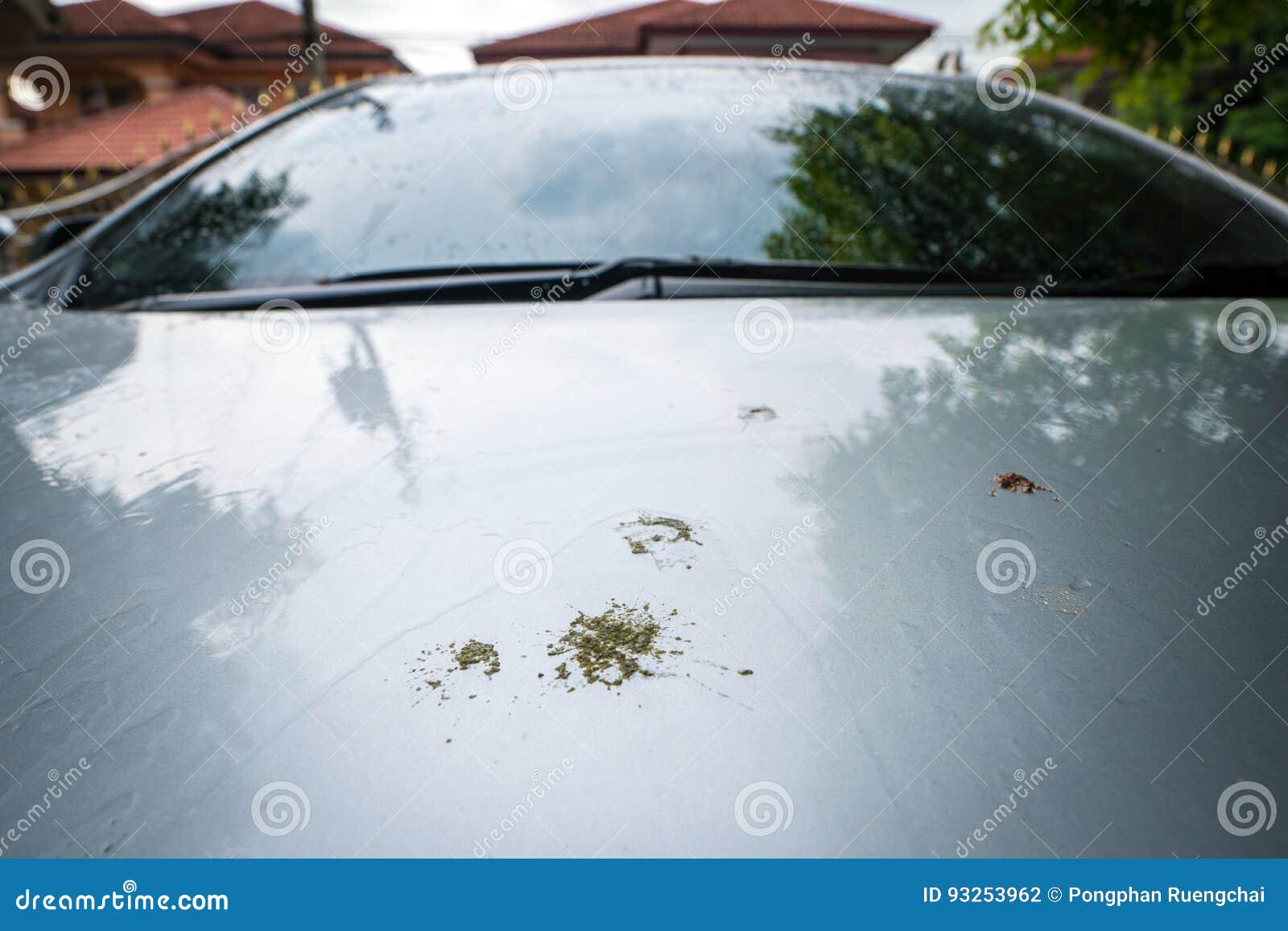 Bird Droppings On The Sidewalk, Tile, Background Texture Stock ...