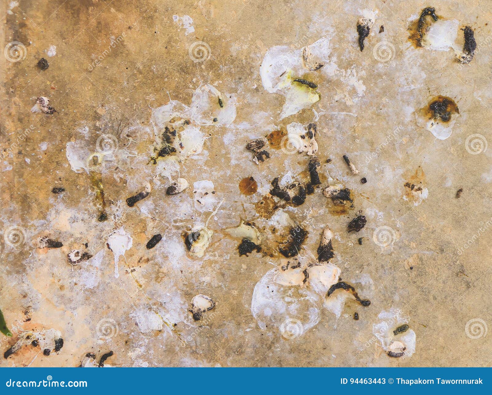 Bird droppings stock image. Image of background, gray - 94463443