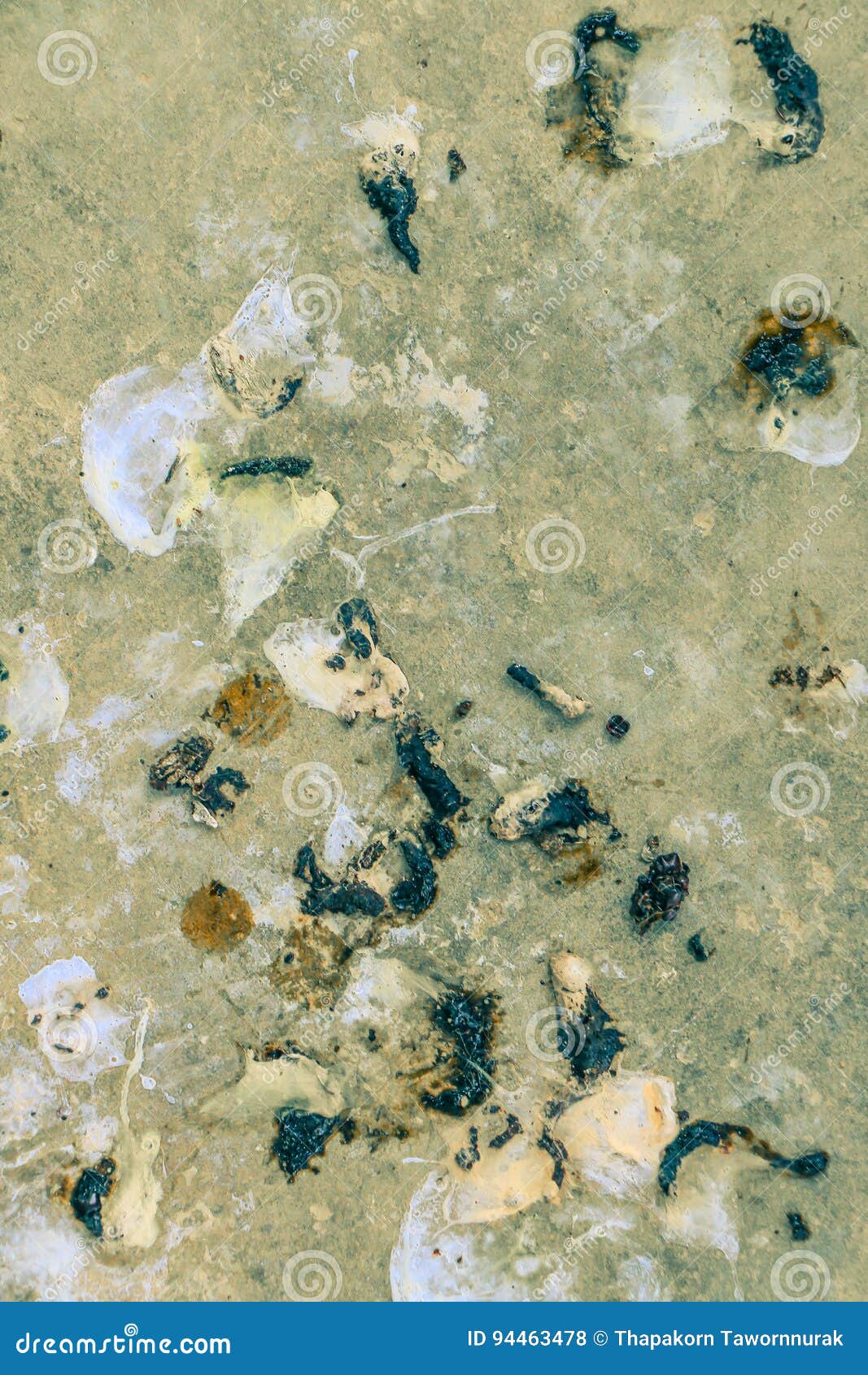 Bird droppings stock photo. Image of abstract, gray, fluid - 94463478