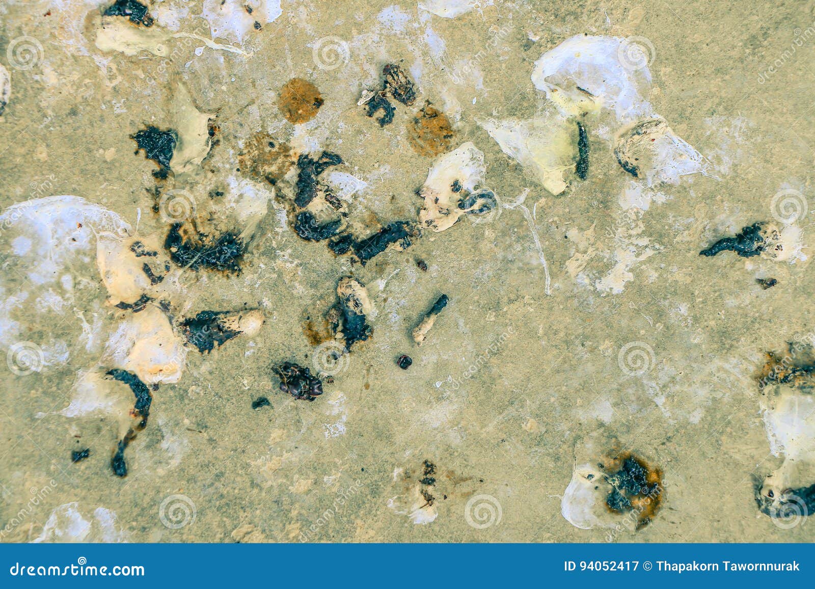 Bird droppings stock image. Image of organic, assault - 94052417