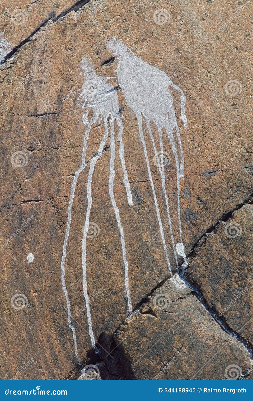 Bird droppings. stock image. Image of nature, summer - 344188945