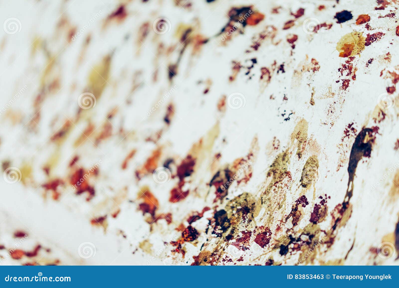 Bird Droppings Falling on the Ground that Much. Stock Image - Image of ...