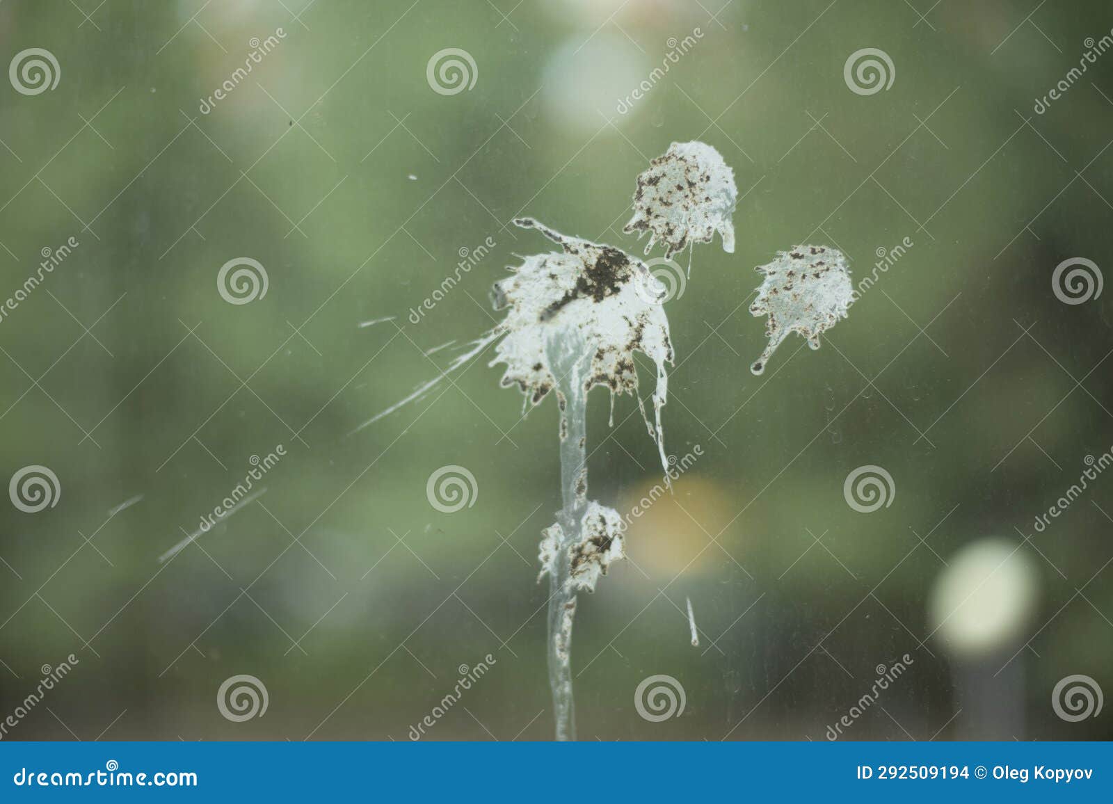 Bird Droppings on Glass. Dirt on Window Stock Photo - Image of ...