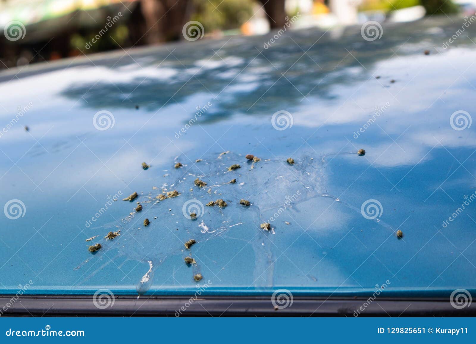 Bird Droppings on Blue Car. Stock Image - Image of bird, guano: 129825651