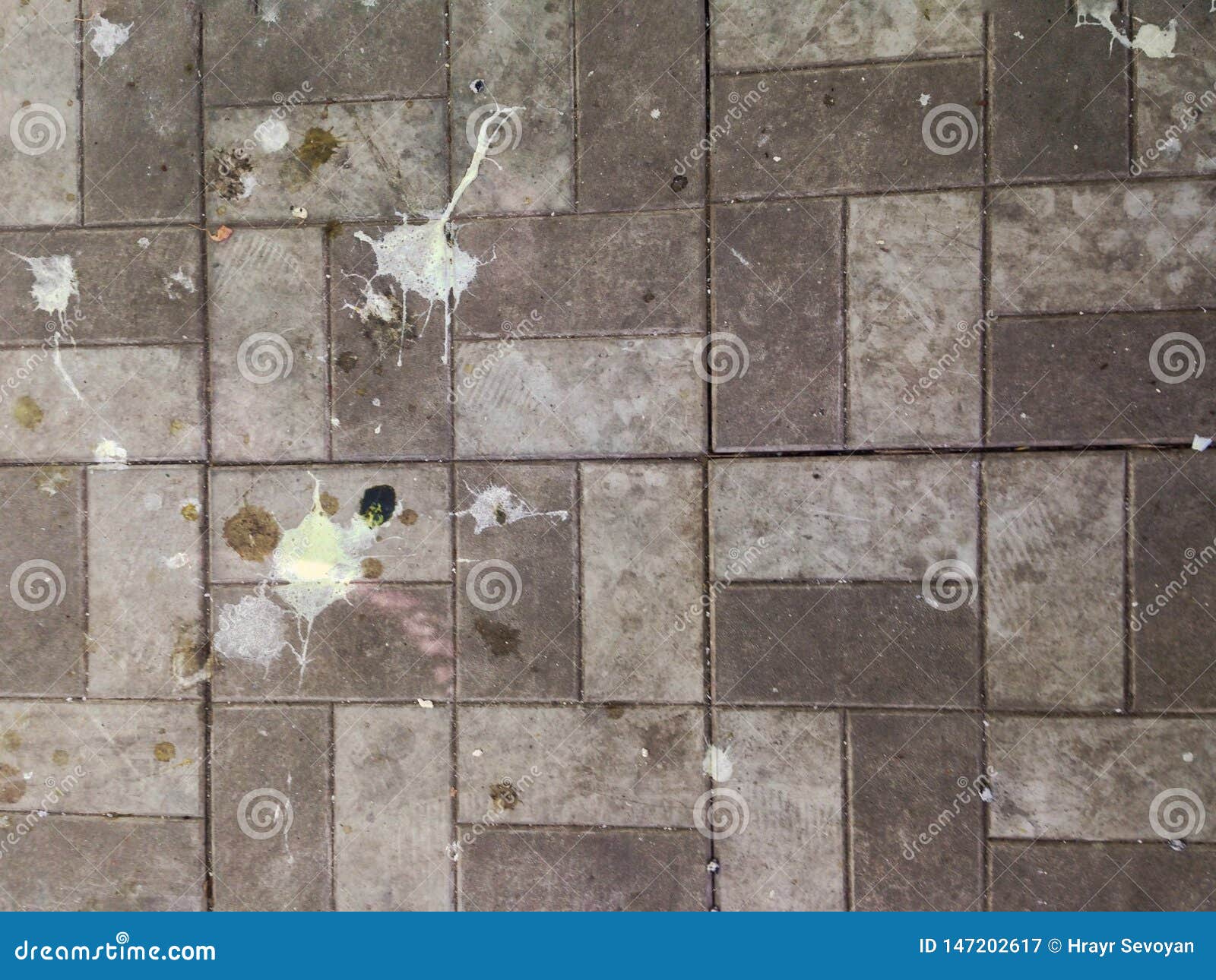 Bird Droppings on the Sidewalk, Tile, Background Texture Stock Image ...