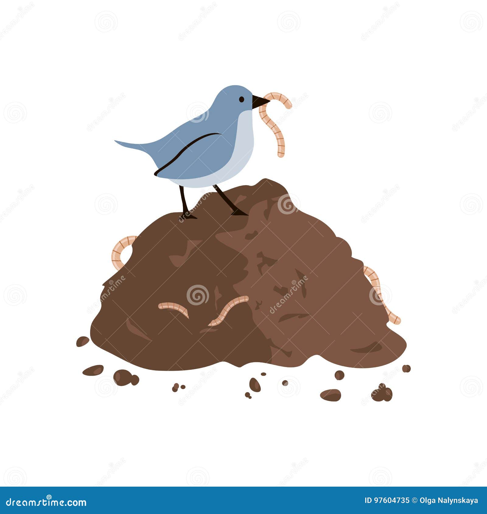 Bird Eating Worm stock vector. Illustration of hunting - 97604735